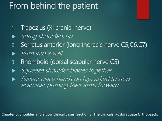 Traumatic brachial plexus injury | PPTX | Death, Injury, or Military Conflict | Sensitive Topics