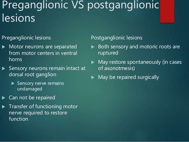 Traumatic brachial plexus injury