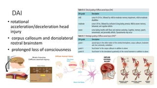 TRAUMATIC BRAIN INJURY - Copy.pptx