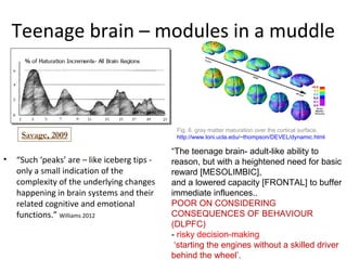 Traumatic brain injury and crime - Huw Williams | PPT