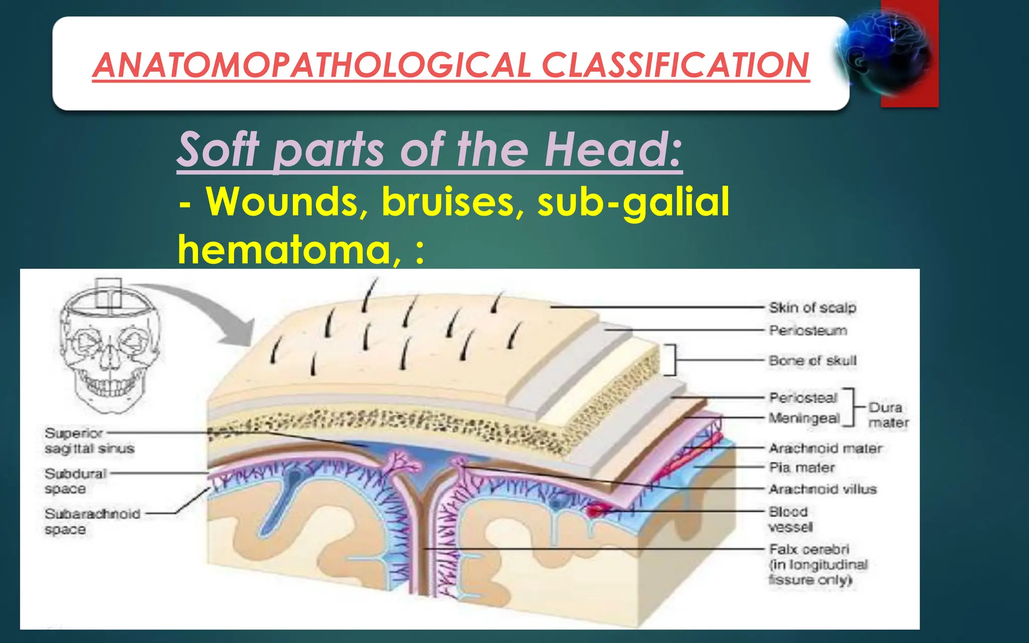 TRAUMATIC BRAIN INJURY AND GLASGOW COMA SCALE.DR. DAMIAN LASTRA COPELLO ...