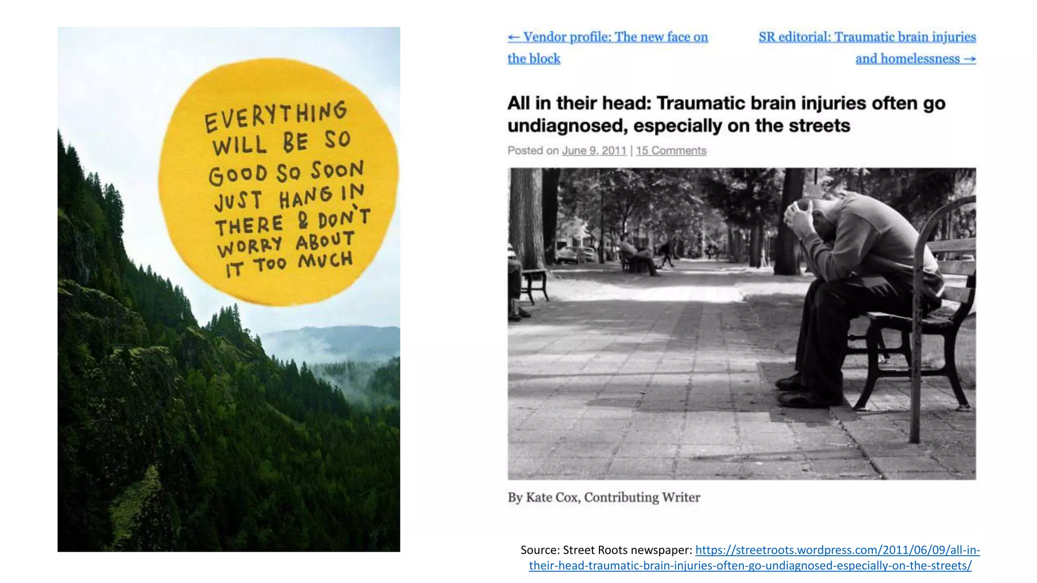 Traumatic Brain Injury Awareness Memes by Cheryl Green | PPTX