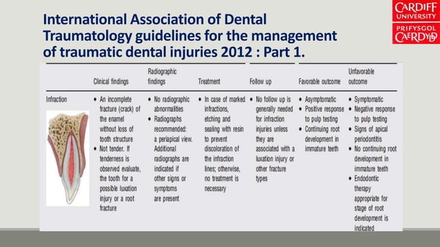 Traumatic dental injuries | PPTX | Injuries | Diseases and Conditions