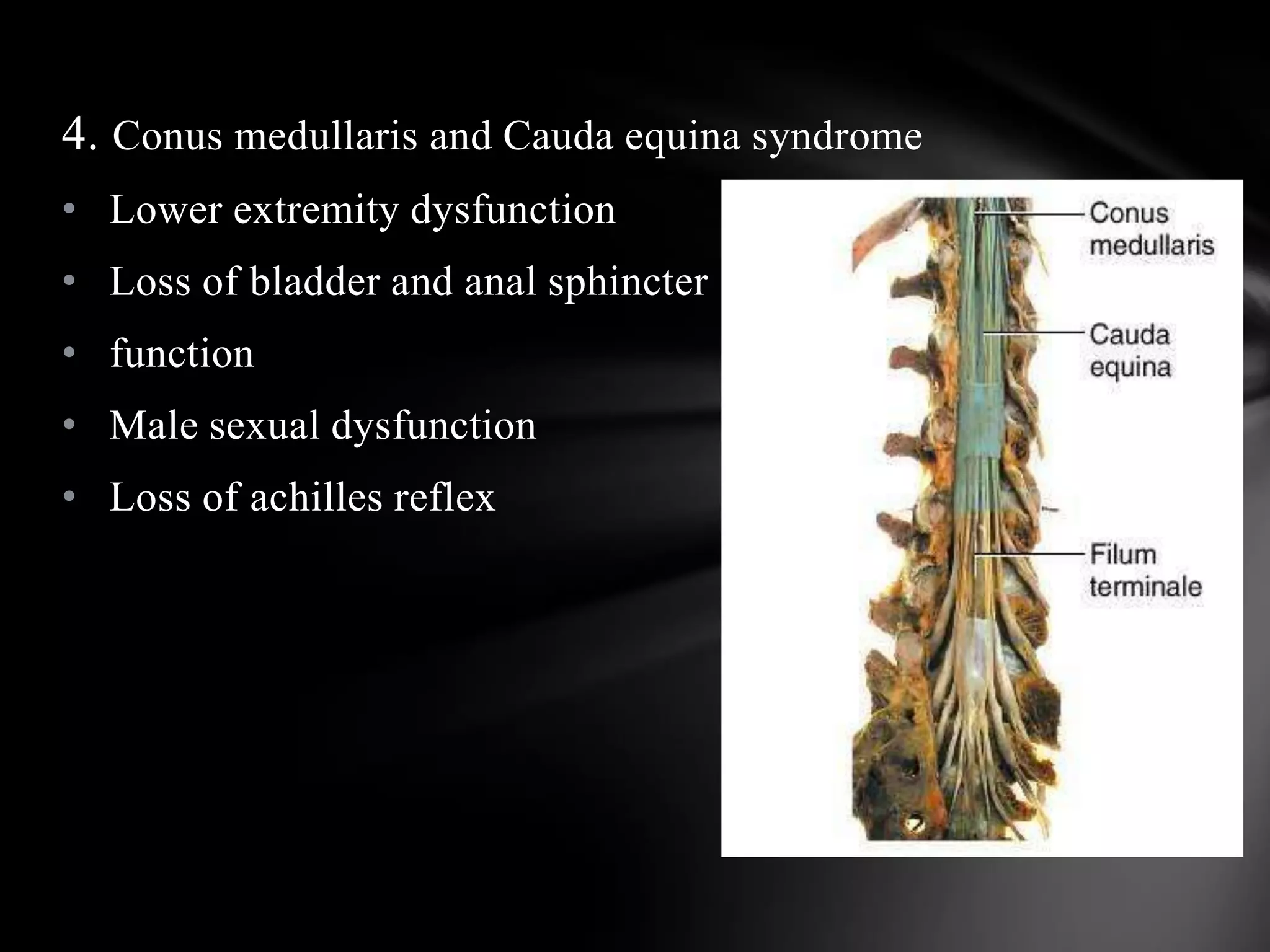 Traumatic head and spinal cord injury | PPTX