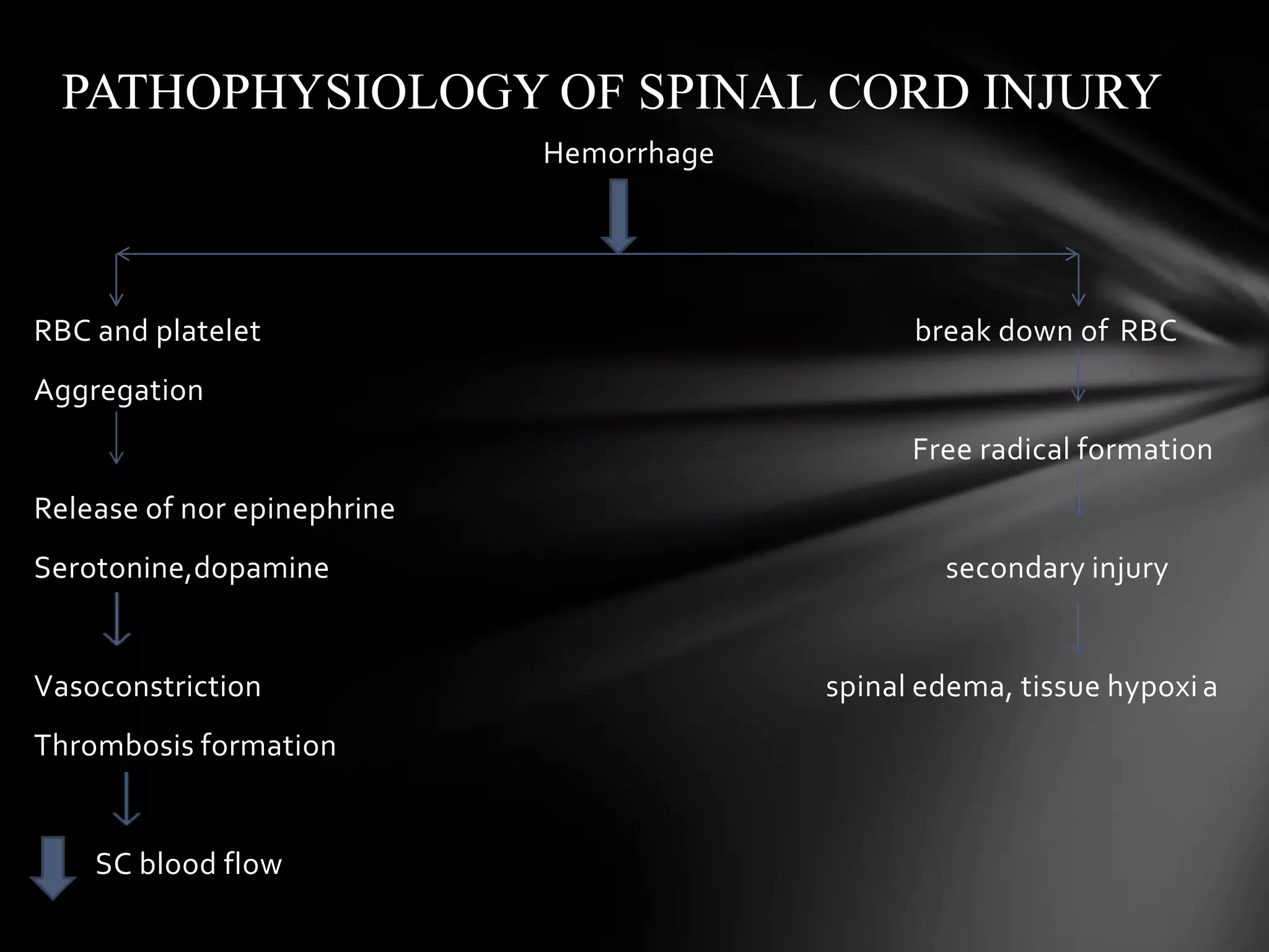 Traumatic head and spinal cord injury | PPTX