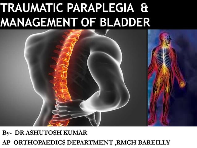 Traumatic paraplegia & bladder management by dr ashutosh | PPTX