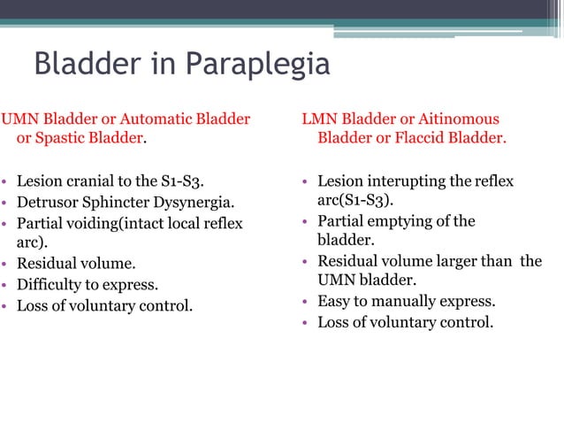 Traumatic paraplegia & bladder management by dr ashutosh | PPTX