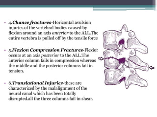 Traumatic paraplegia & bladder management by dr ashutosh | PPTX