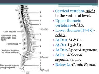 Traumatic paraplegia & bladder management by dr ashutosh | PPTX