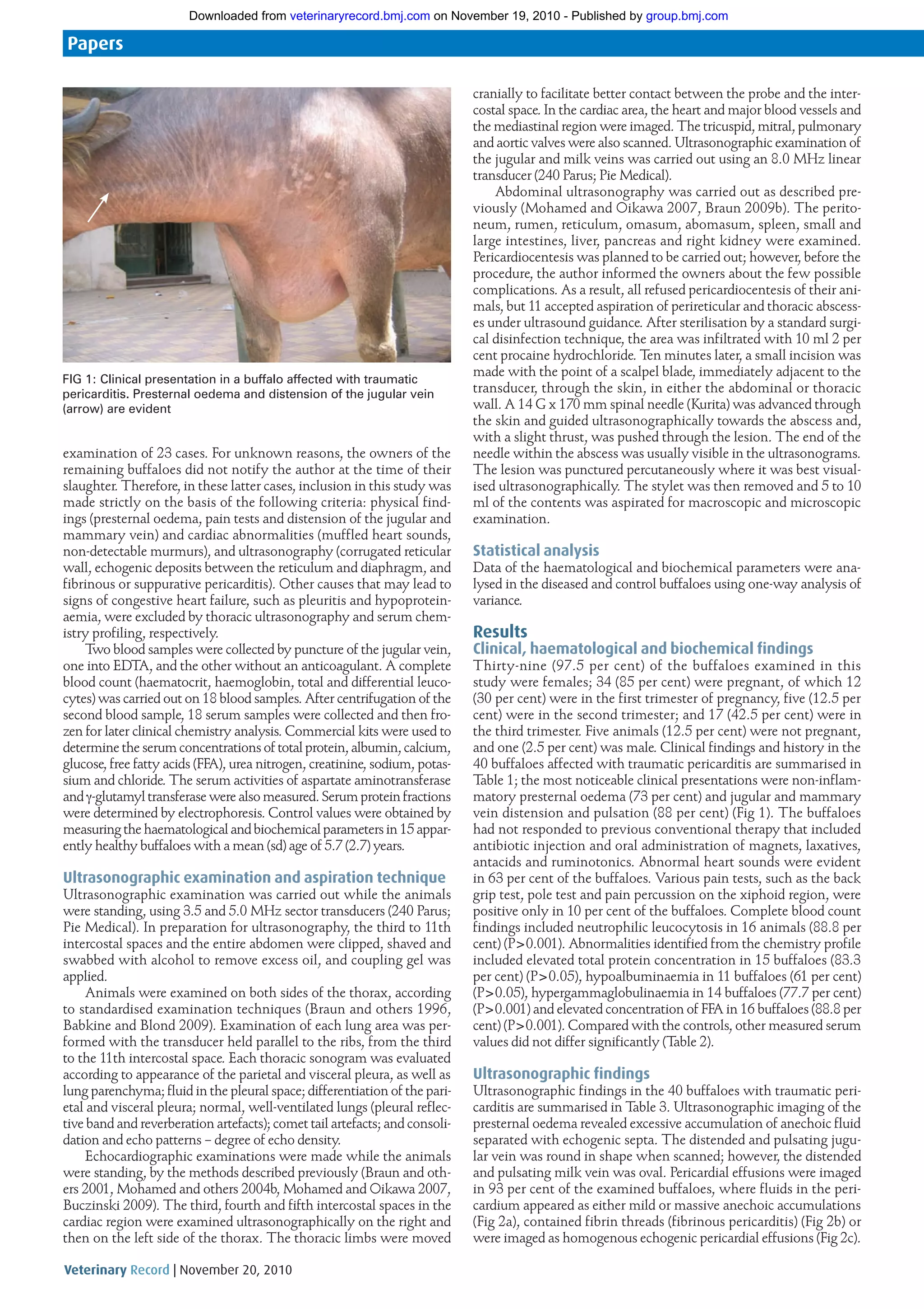 Traumatic pericarditis in buffaloes & Cattle Prof Hamed Attia | PDF