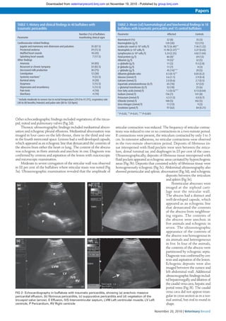 Traumatic pericarditis in buffaloes & Cattle Prof Hamed Attia | PDF