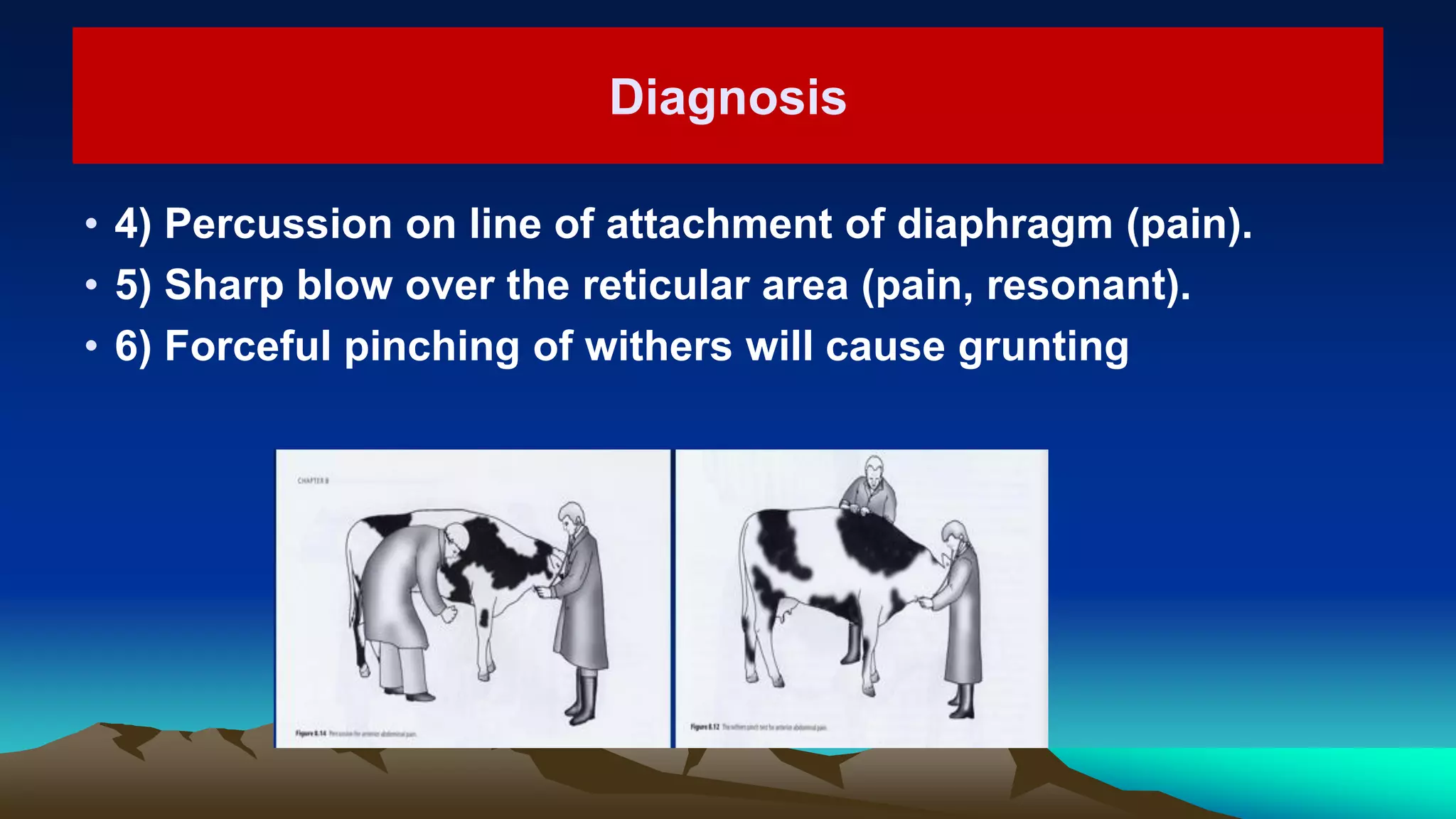 Traumatic reticulo peritonitis | PDF