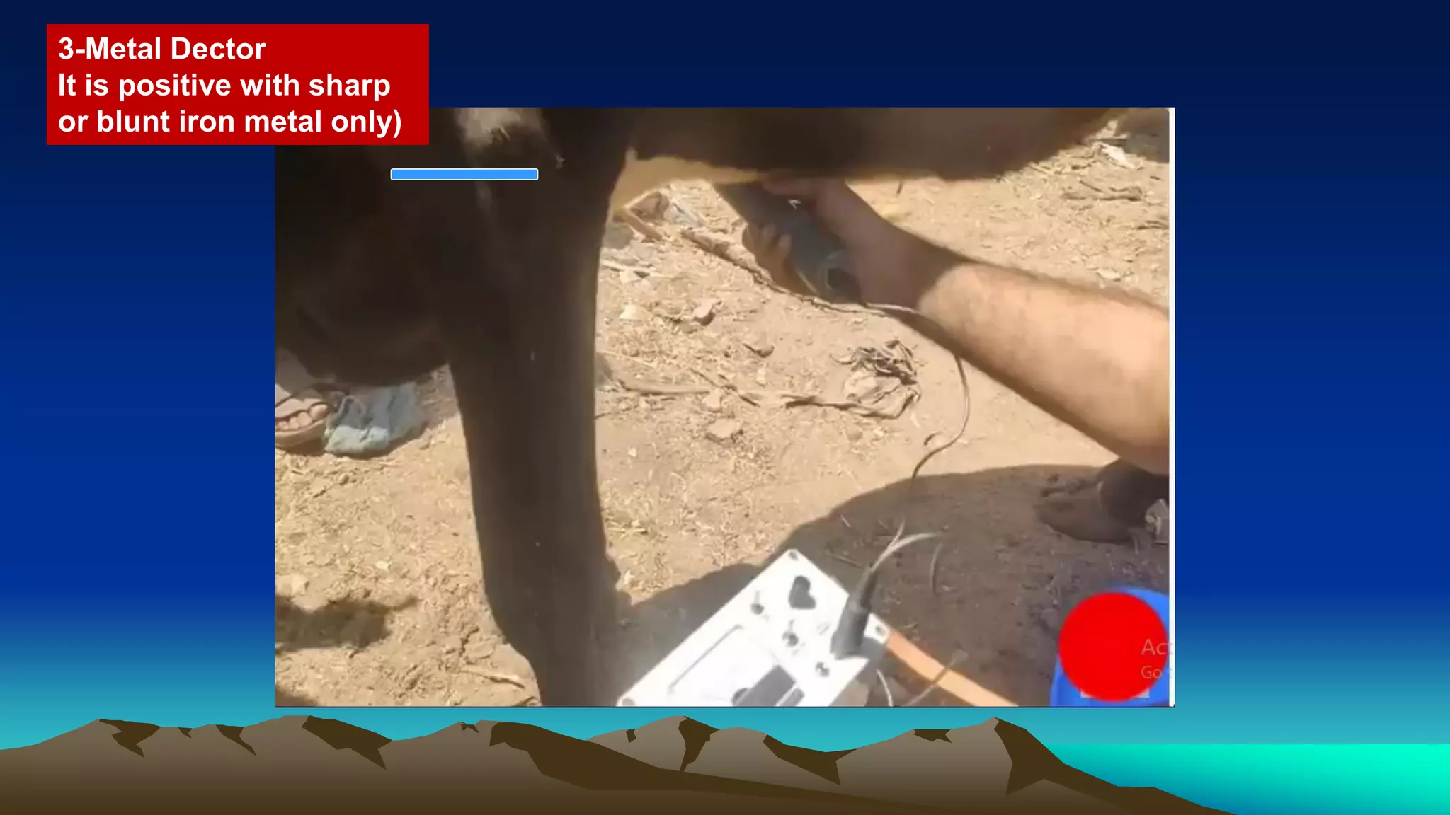 Traumatic reticulo peritonitis | PDF