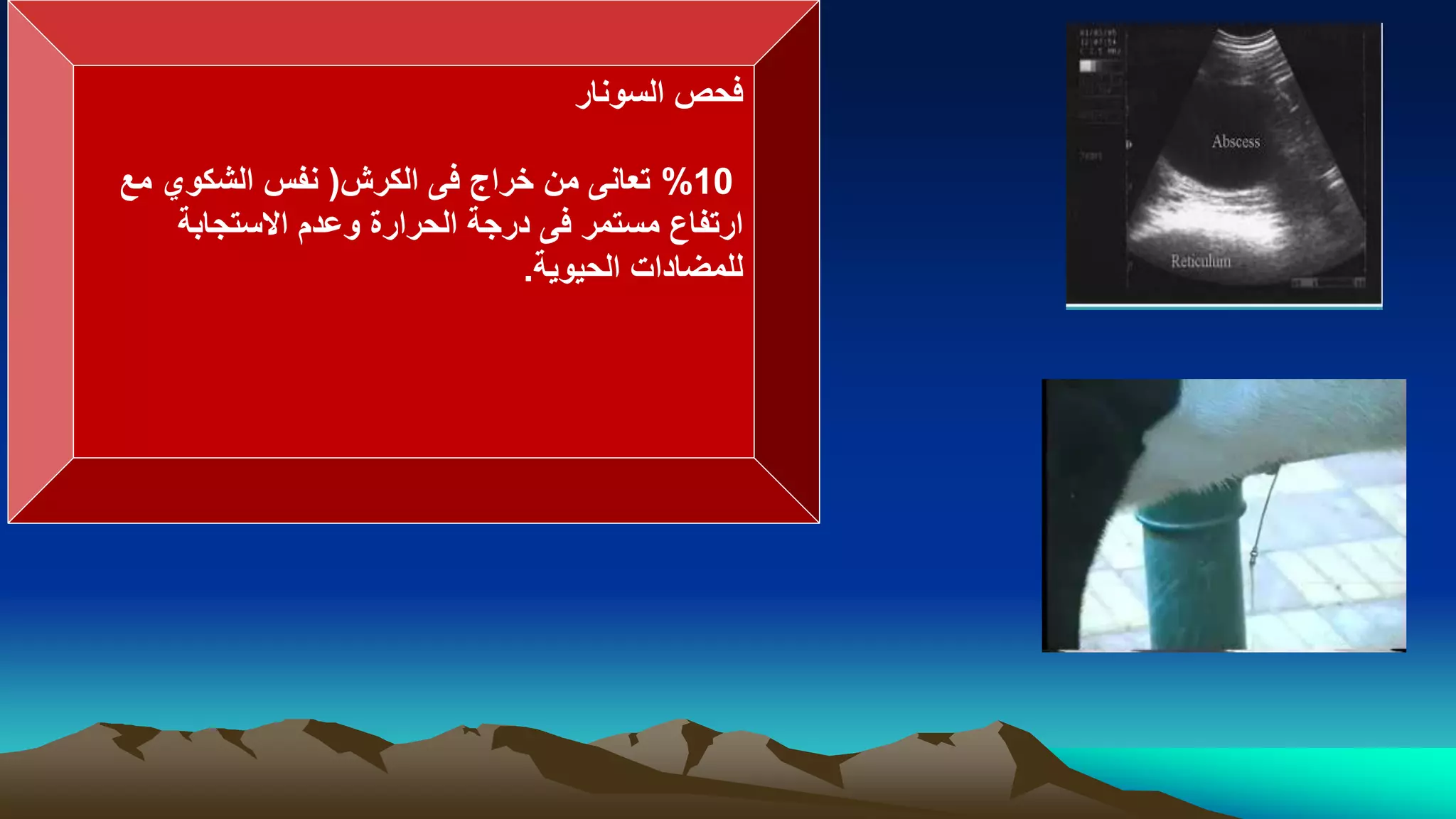 Traumatic reticulo peritonitis | PDF