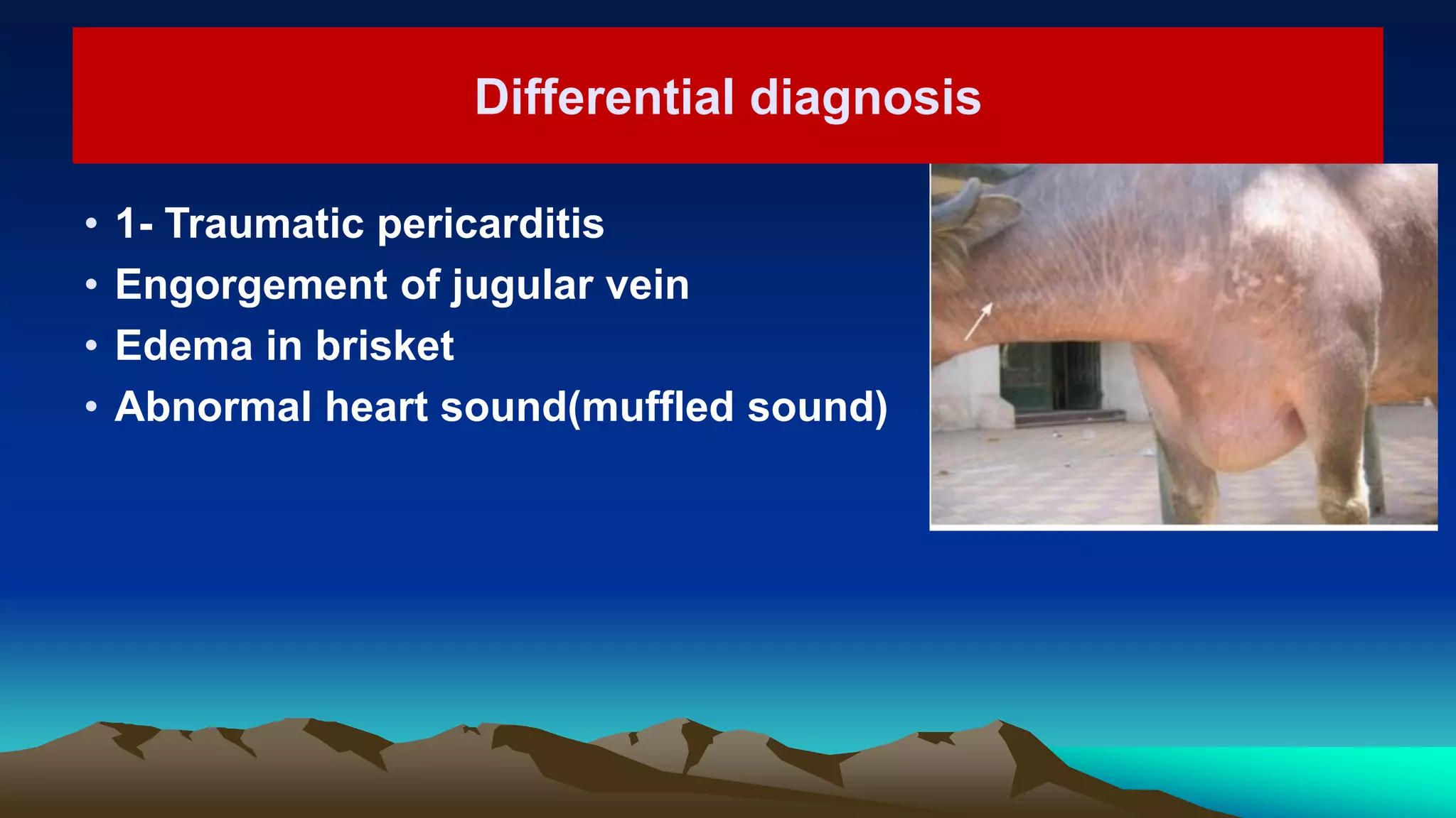 Traumatic reticulo peritonitis | PDF