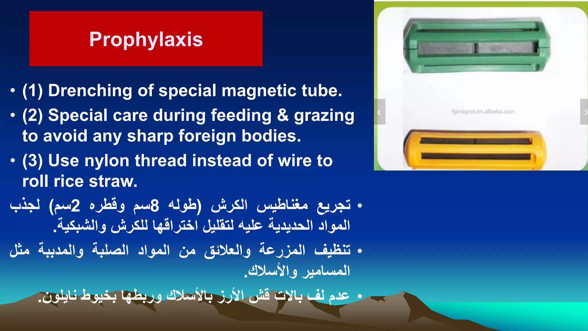 Traumatic reticulo peritonitis | PDF