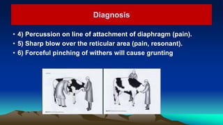Traumatic reticulo peritonitis | PDF