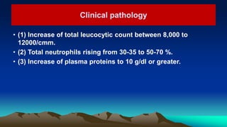 Traumatic reticulo peritonitis | PDF