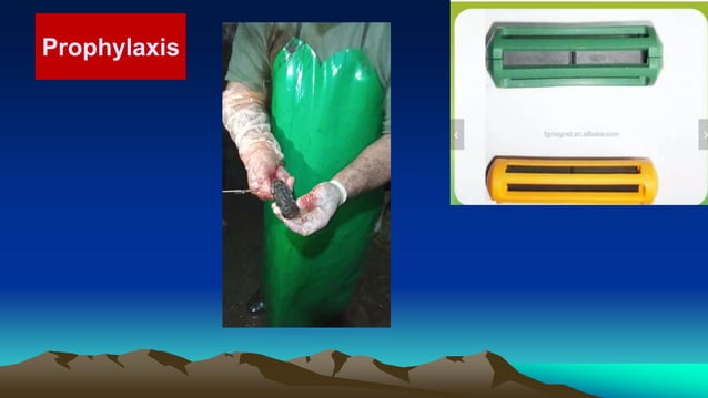 Traumatic reticulo peritonitis | PDF | Digestive Disorders | Diseases ...