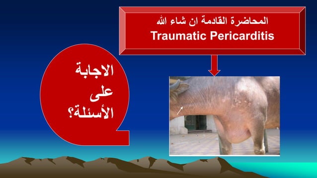 Traumatic reticulo peritonitis | PDF | Digestive Disorders | Diseases ...