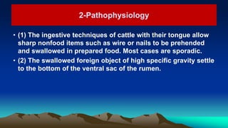 Traumatic reticulo peritonitis | PDF