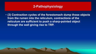 Traumatic reticulo peritonitis | PDF