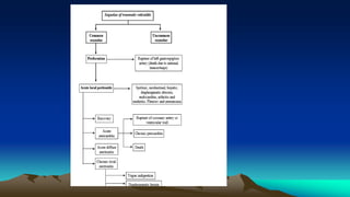 Traumatic reticulo peritonitis | PDF