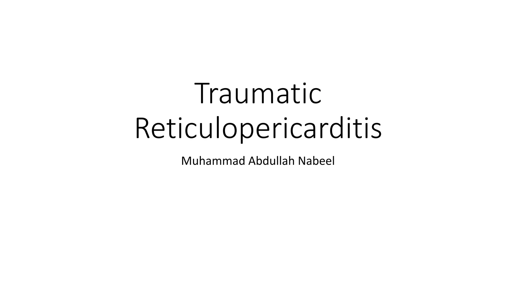 Traumatic Reticulopericarditis | PPTX