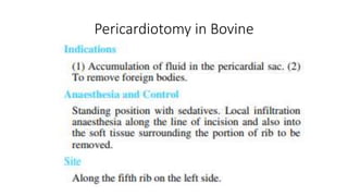 Traumatic Reticulopericarditis | PPTX