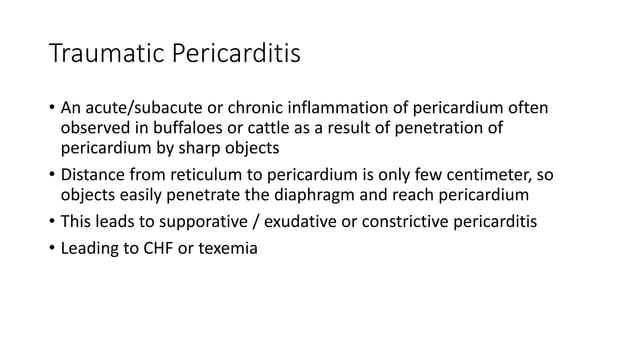 Traumatic Reticulopericarditis | PPTX