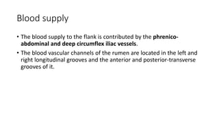 Traumatic Reticulopericarditis | PPTX