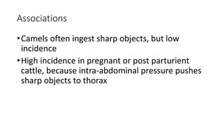 Traumatic Reticulopericarditis | PPTX