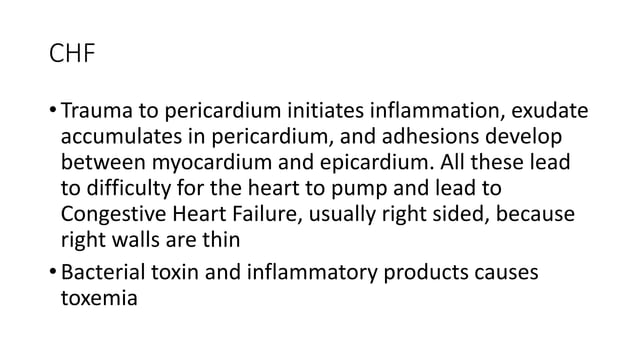 Traumatic Reticulopericarditis | PPTX