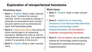 Traumatic retroperitoneal injury | PPT