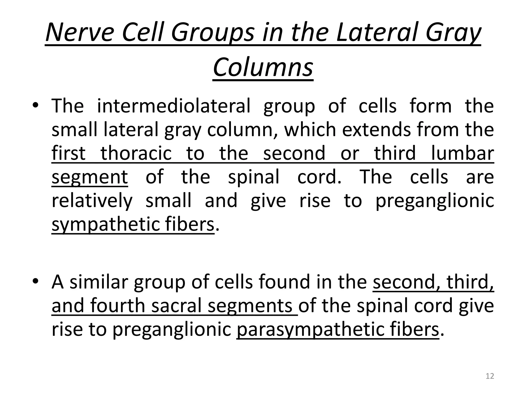 Traumatic spinal cord injury | PPTX