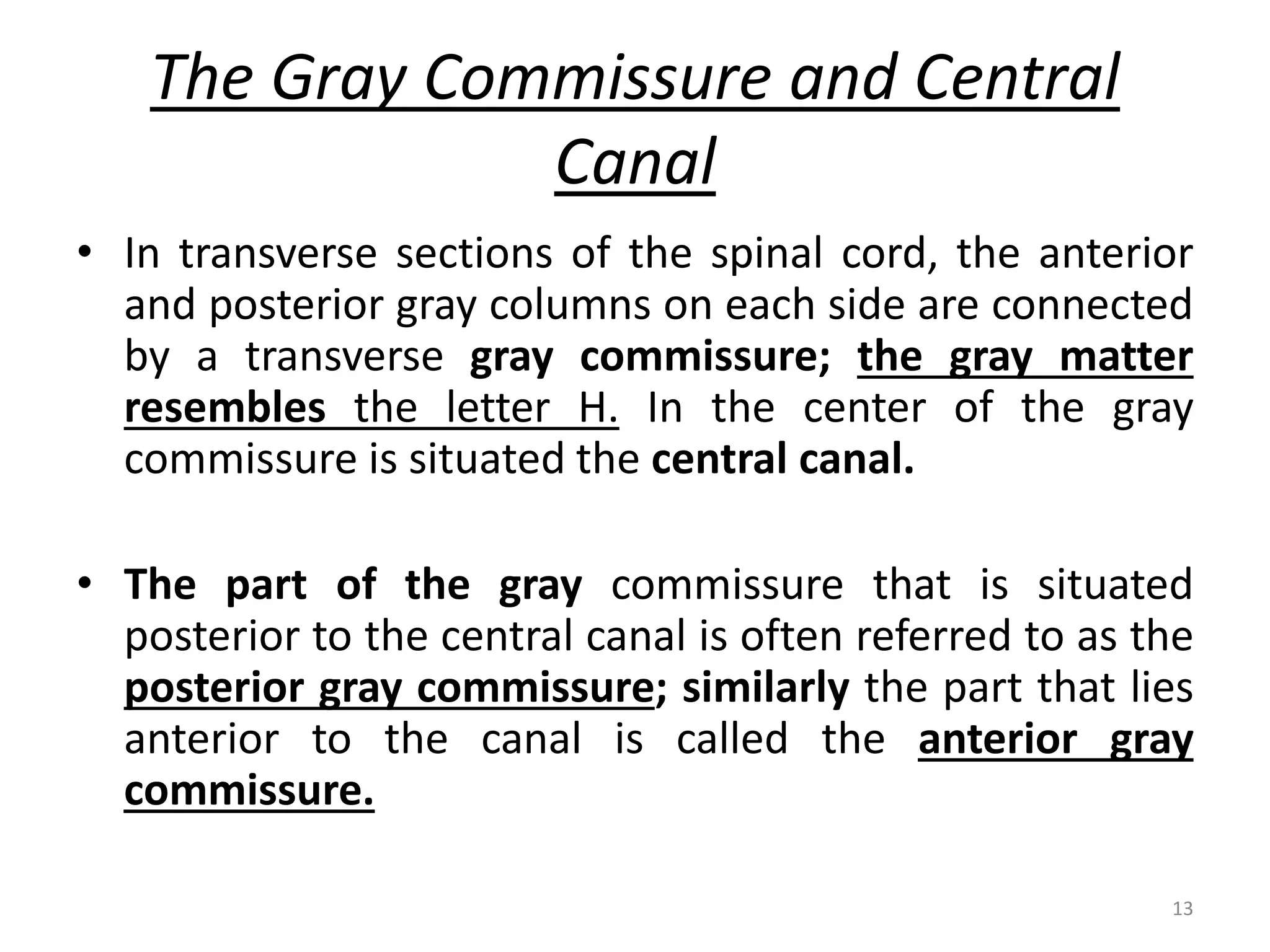 Traumatic spinal cord injury | PPTX