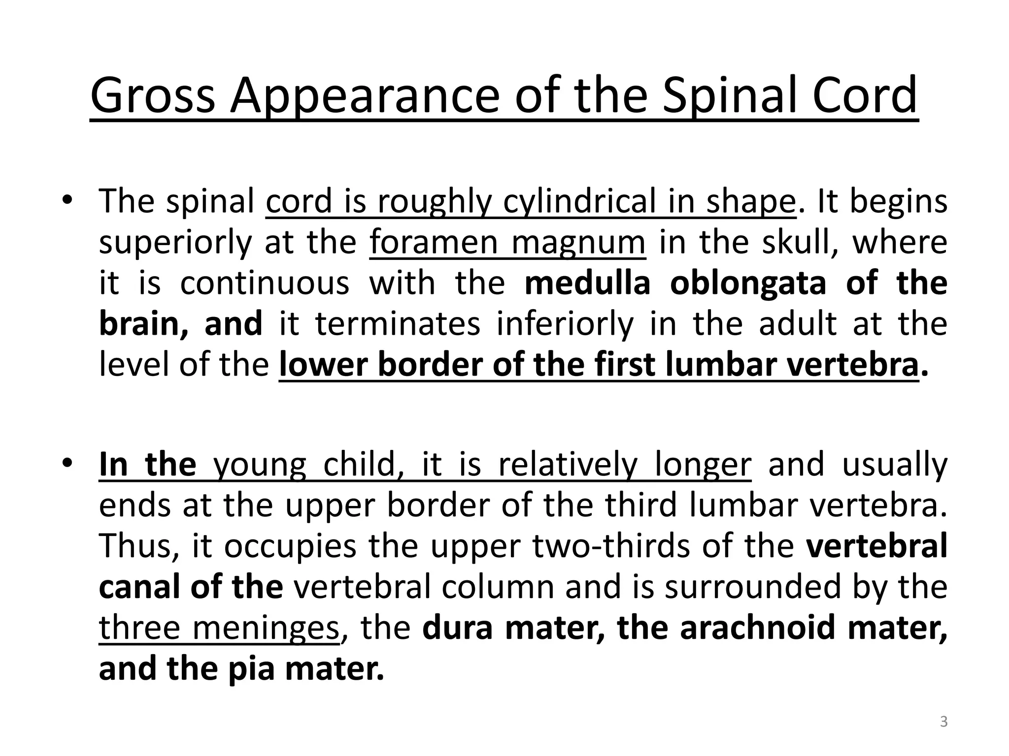 Traumatic spinal cord injury | PPTX