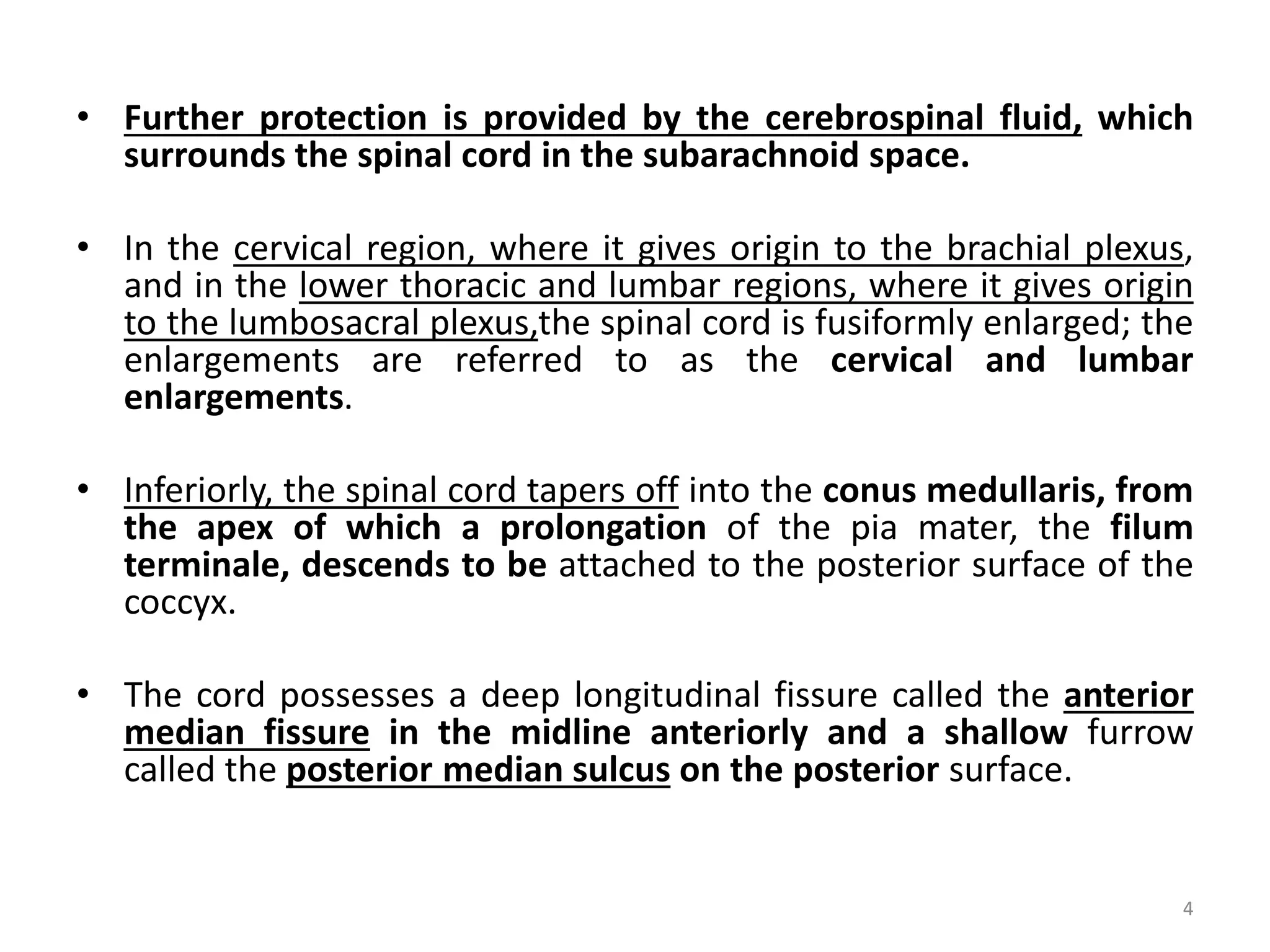 Traumatic spinal cord injury | PPTX