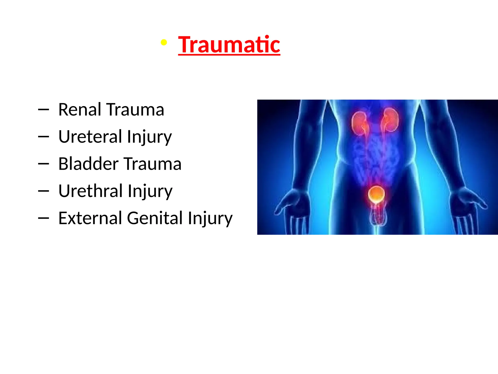 Traumatic Urological Emergencies - Differential Diagnosis | PPTX