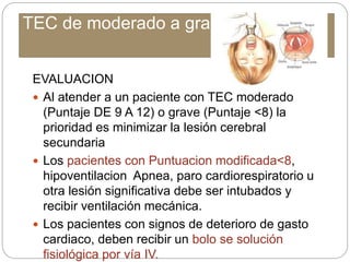 Trauma Encéfalo Craneal Pediatria | PPTX
