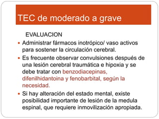 Trauma Encéfalo Craneal Pediatria | PPTX