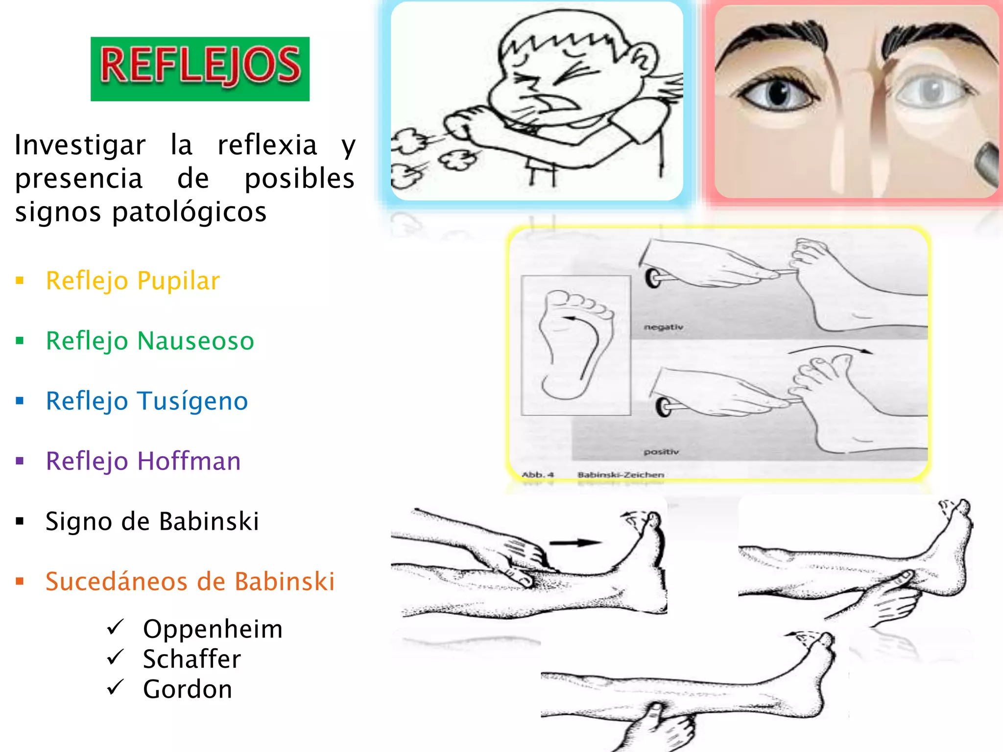 Traumatismo raquimedular | PPTX