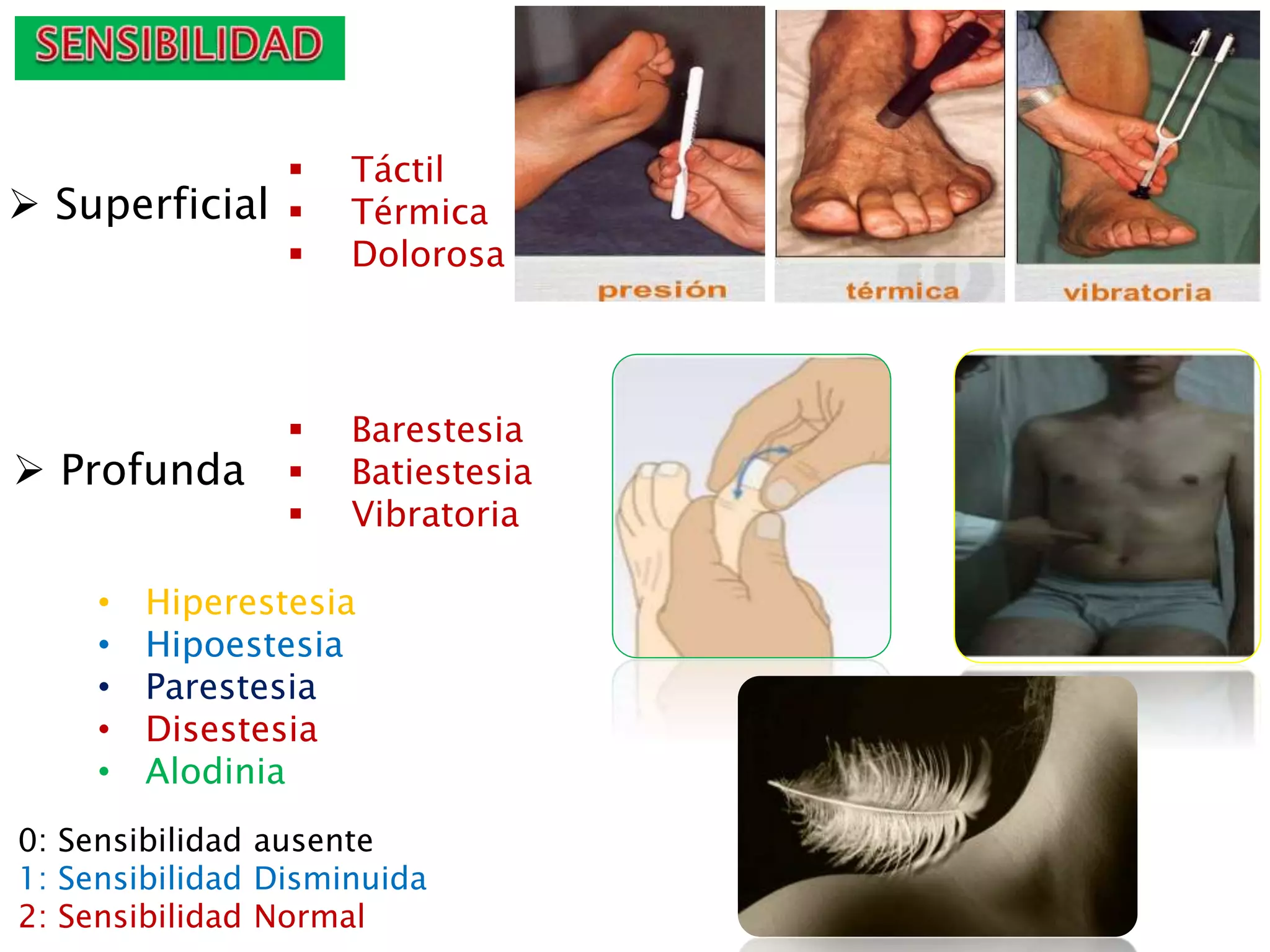 Traumatismo raquimedular | PPTX