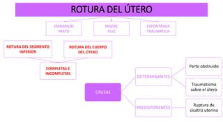 Traumatismos del parto | PPTX