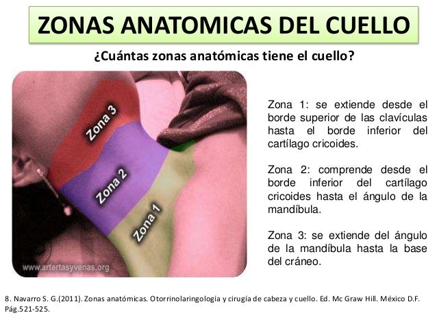 Traumatismos, heridas y contusiones de cuello.