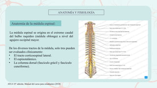 Traumatismos NEURO.pptx.................. | PPTX