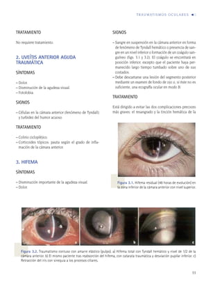 Traumatismos oculares | PDF