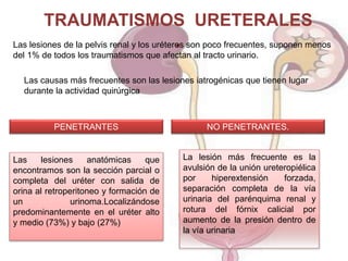 Traumatismo urogenital | PPTX