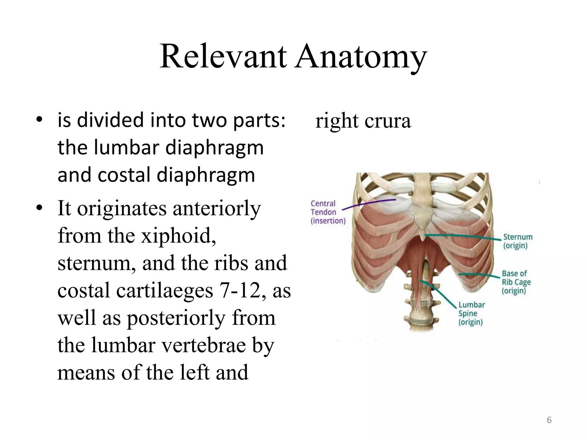 Physiotherapy Management of Traumatized Diaphragm | PPTX