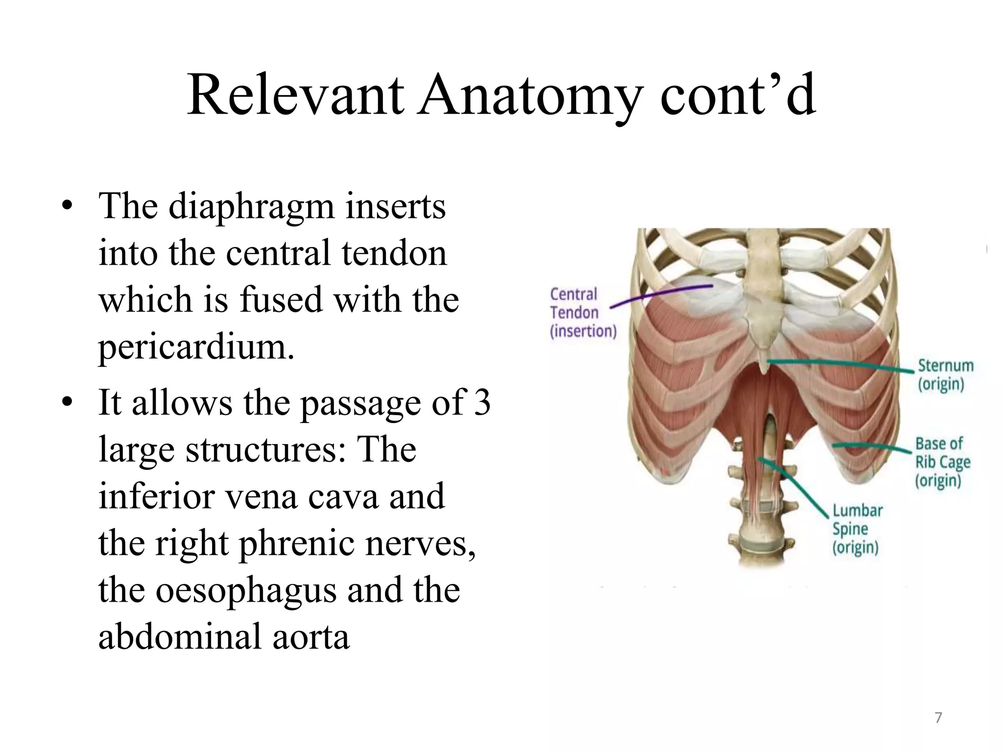 Physiotherapy Management of Traumatized Diaphragm | PPTX